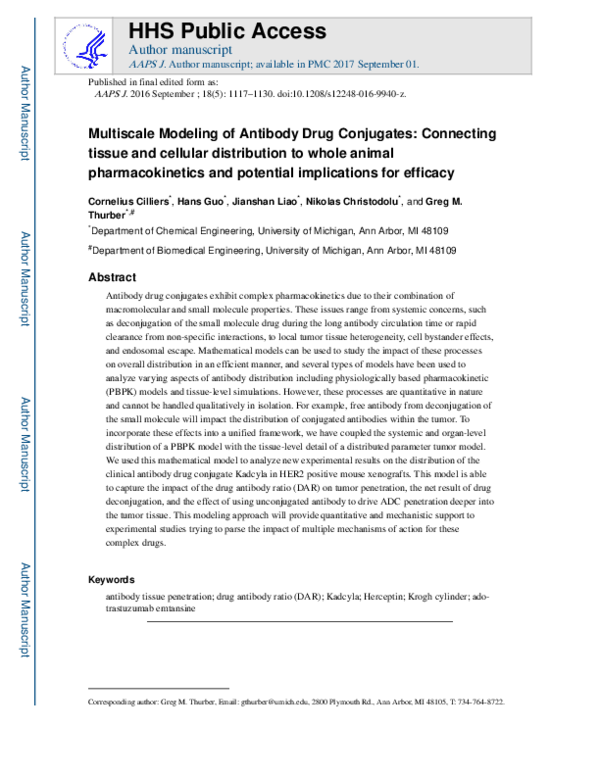 (PDF) Multiscale Modeling of Antibody-Drug Conjugates: Connecting ...