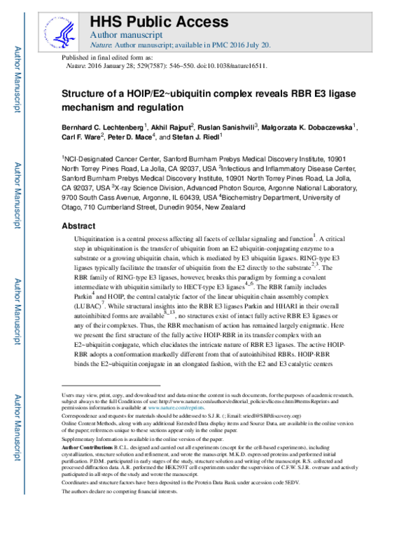 (PDF) Structure of a HOIP/E2~ubiquitin complex reveals RBR E3 ligase ...