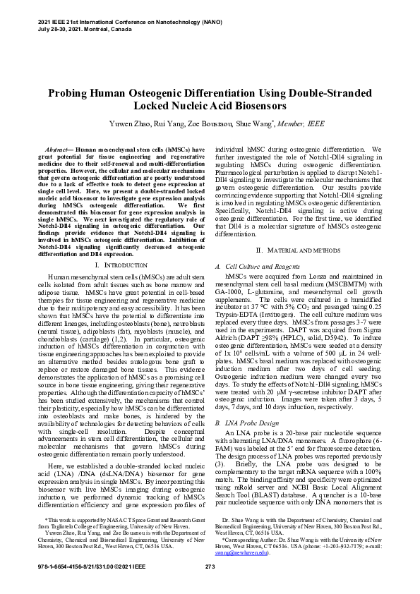 (PDF) Probing Human Osteogenic Differentiation Using Double-Stranded ...