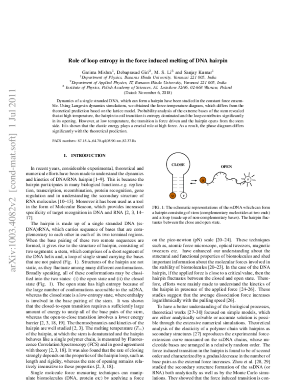 (PDF) Role of loop entropy in the force induced melting of DNA hairpin