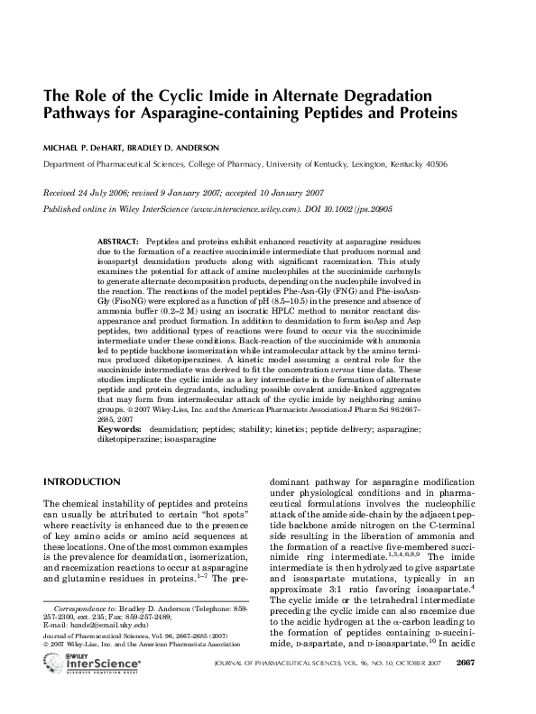 (PDF) The role of the cyclic imide in alternate degradation pathways ...
