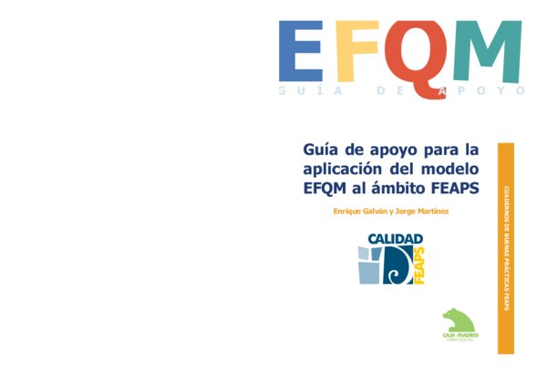 (PDF) Guía de apoyo para la aplicación del modelo EFQM al ámbito FEAPS ...