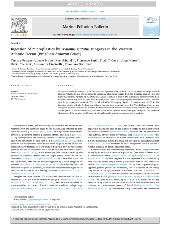 (PDF) Ingestion of microplastics by Hypanus guttatus stingrays in the ...