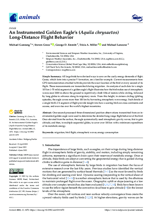 (PDF) An Instrumented Golden Eagle’s (Aquila chrysaetos) Long-Distance ...