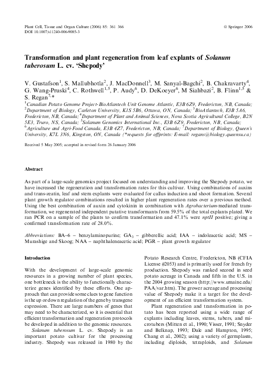 (PDF) Transformation and Plant Regeneration from Leaf Explants of ...