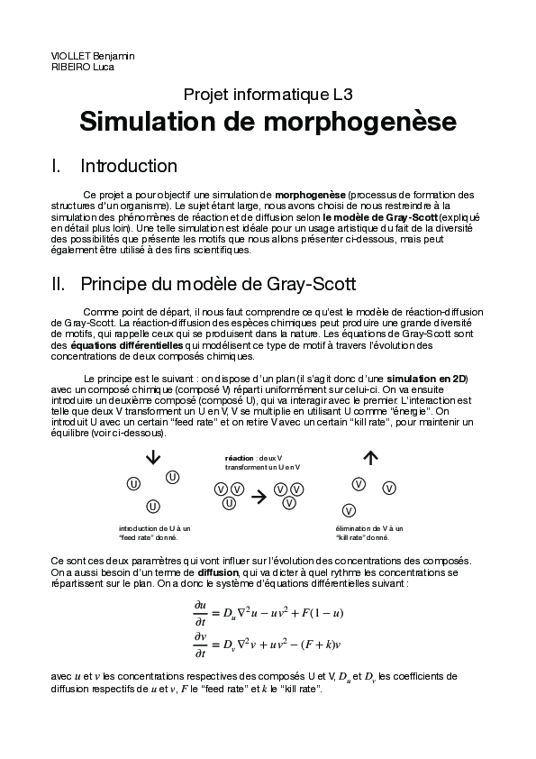 (PDF) Simulation de morphogenèse avec Python