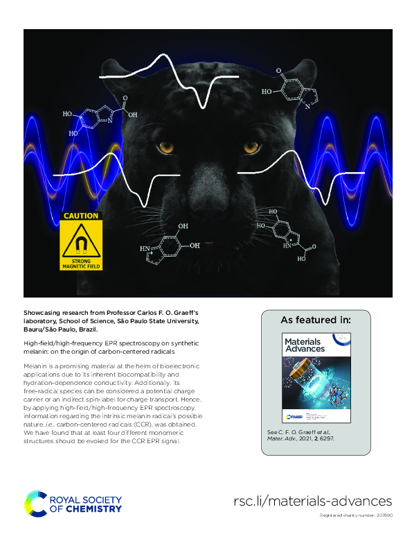 (PDF) High-field/high-frequency EPR spectroscopy on synthetic melanin ...