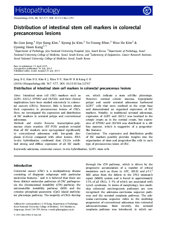 (PDF) Distribution of intestinal stem cell markers in colorectal ...