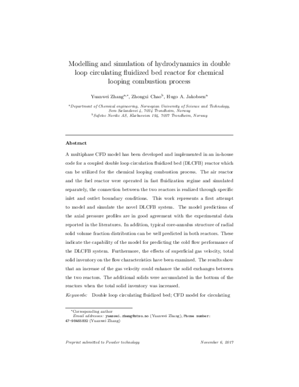 (PDF) Modelling and simulation of hydrodynamics in double loop ...