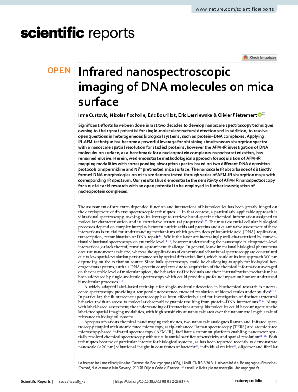 (PDF) Infrared nanospectroscopic imaging of DNA molecules on mica surface