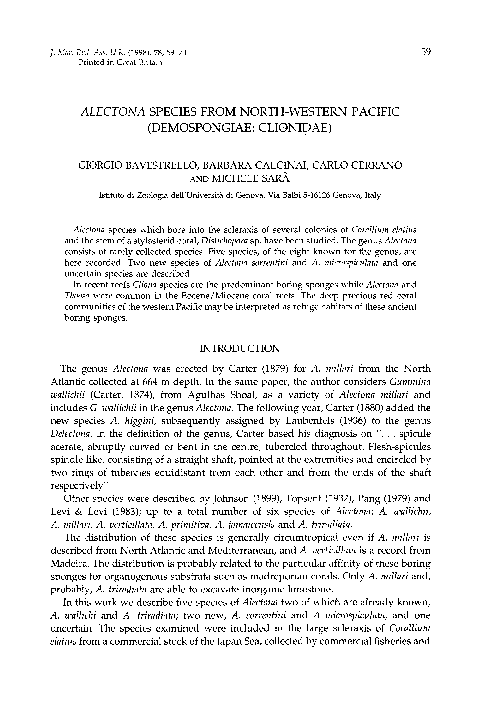 (PDF) Alectona Species From North-Western Pacific (Demospongiae: Clionidae)