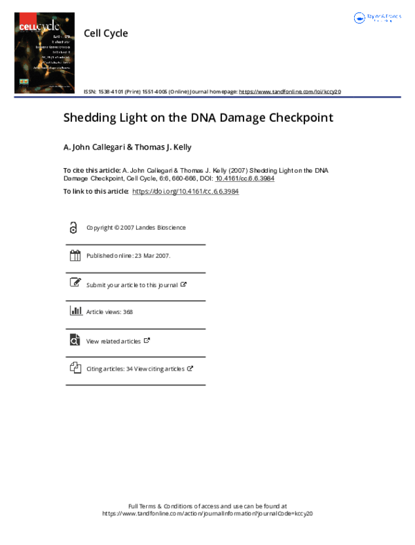 (PDF) Shedding Light on the DNA Damage Checkpoint
