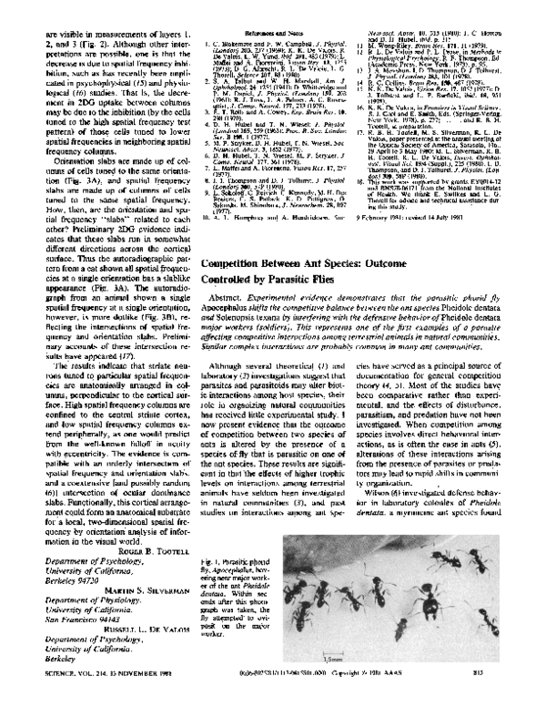 (PDF) Competition Between Ant Species: Outcome Controlled by Parasitic ...