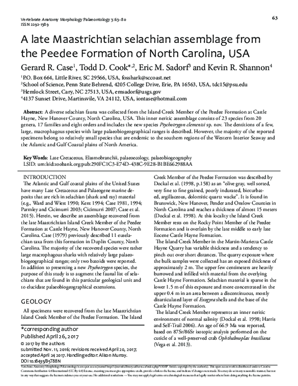 (PDF) A late Maastrichtian selachian assemblage from the Peedee ...