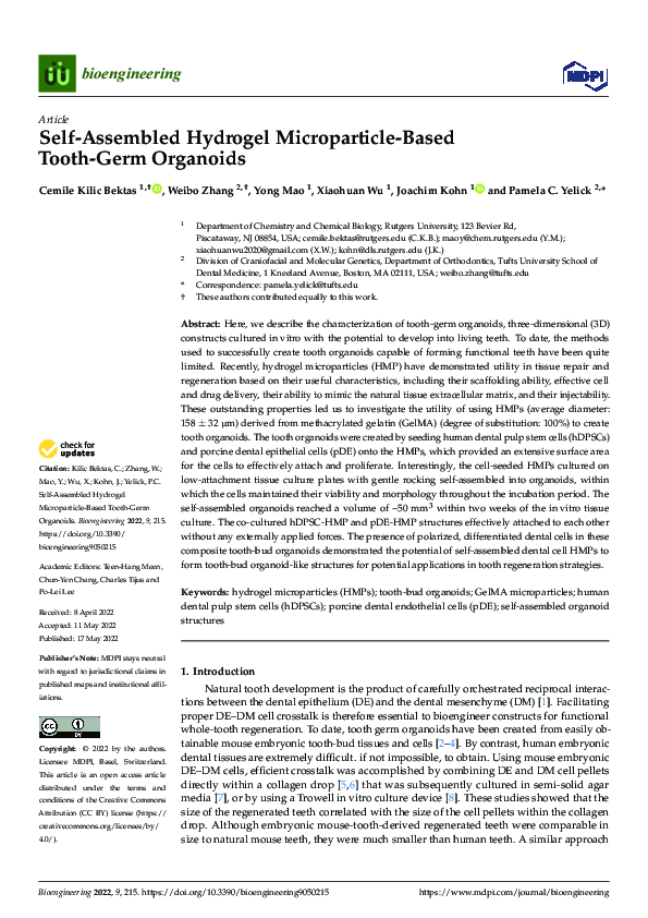 (PDF) Hydrogel Microparticle Tooth-Germ Organoids