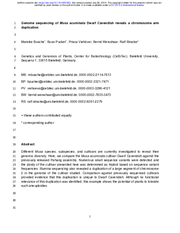(PDF) Chromosome Duplication in Dwarf Cavendish Genome