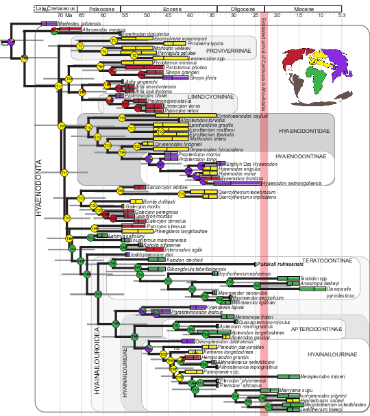 (PDF) The first hyaenodont from the late Oligocene Nsungwe Formation of ...