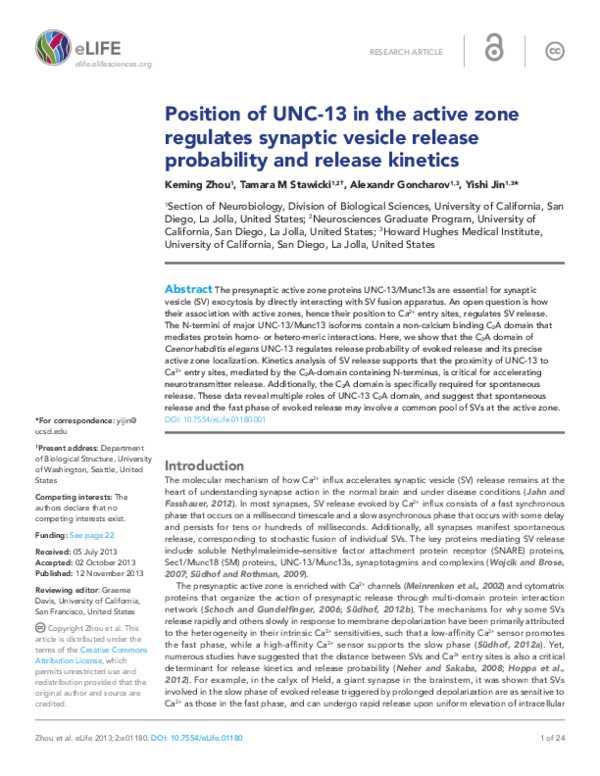 (PDF) Position of UNC-13 in the active zone regulates synaptic vesicle ...