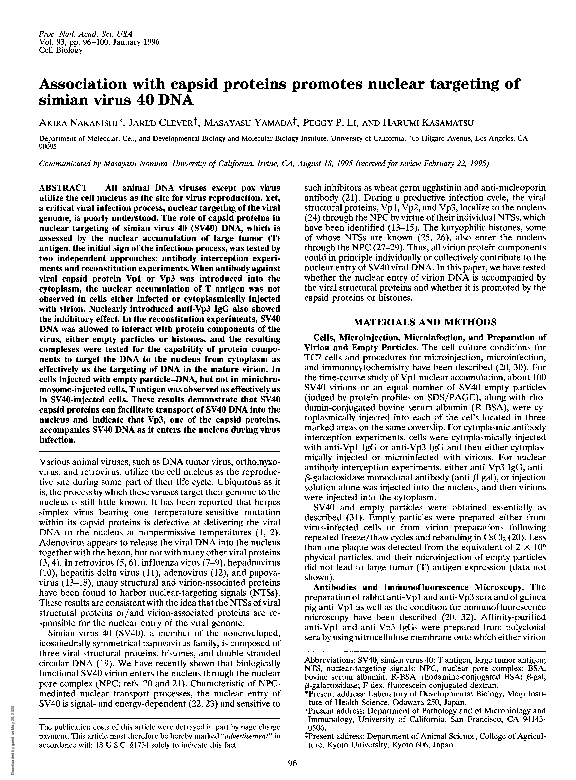 (PDF) Association with capsid proteins promotes nuclear targeting of ...