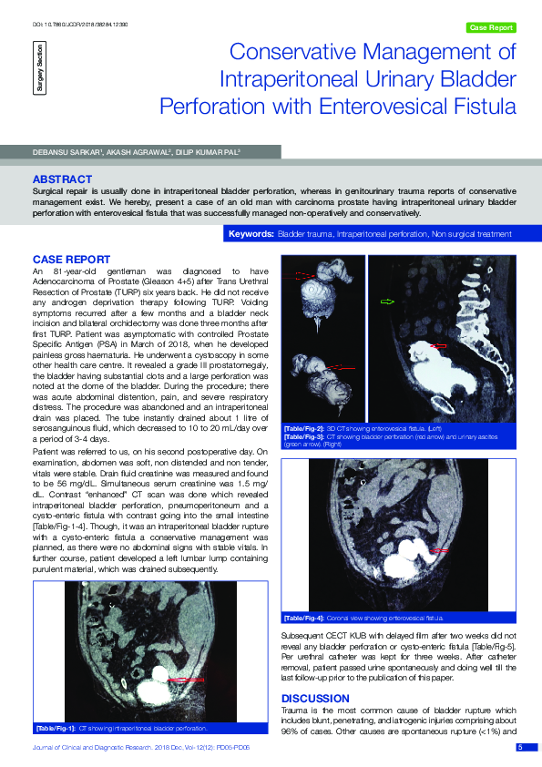 (PDF) Conservative Management of Intraperitoneal Urinary Bladder ...