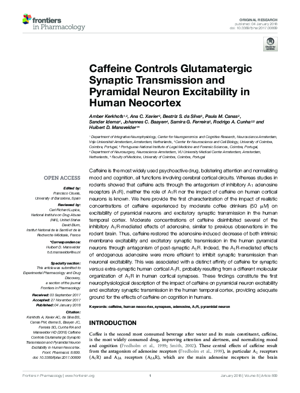 (PDF) Caffeine Controls Glutamatergic Synaptic Transmission and Pyramidal Neuron Excitability in ...