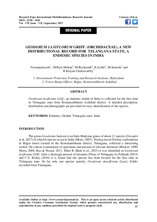 (PDF) GEODORUM LAXIFLORUM GRIFF. (ORCHIDACEAE), A NEW DISTRIBUTIONAL ...