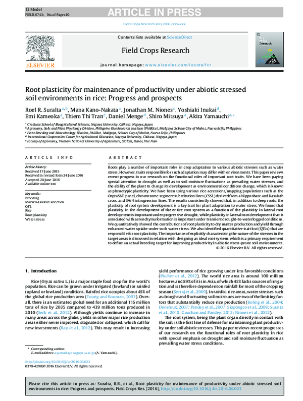 (PDF) Root plasticity for maintenance of productivity under abiotic ...