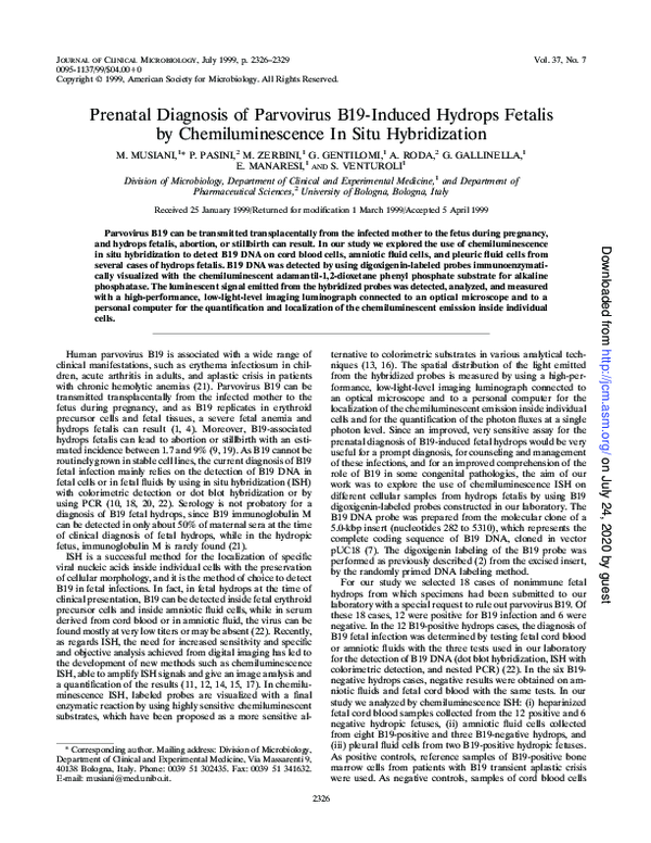 (PDF) Prenatal Diagnosis of Parvovirus B19-Induced Hydrops Fetalis by ...