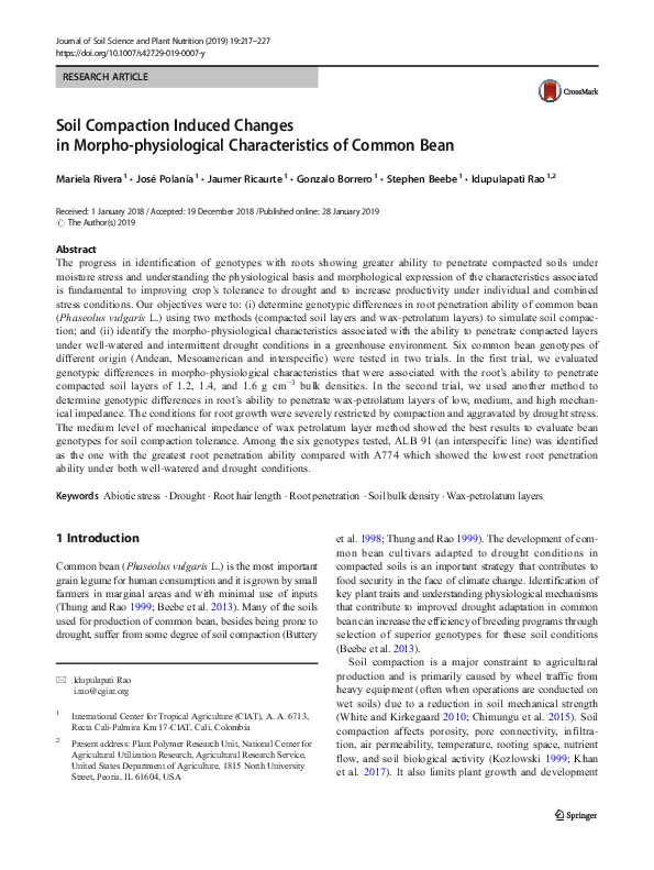 (PDF) Soil Compaction Induced Changes in Morpho-physiological Characteristics of Common Bean