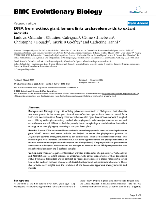 (PDF) DNA from extinct giant lemurs links archaeolemurids to extant ...