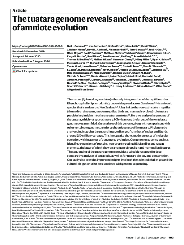 (PDF) The tuatara genome reveals ancient features of amniote evolution