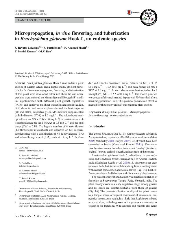 (PDF) Micropropagation, in vitro flowering, and tuberization in Brachystelma glabrum Hook.f., an ...
