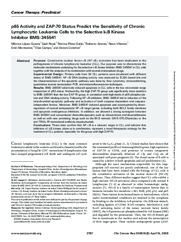 (PDF) p65 Activity and ZAP-70 Status Predict the Sensitivity of Chronic Lymphocytic Leukemia ...