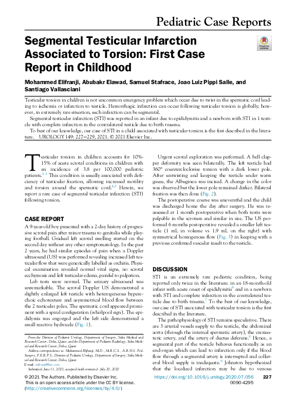 (PDF) Segmental Testicular Infarction Associated to Torsion: First Case ...