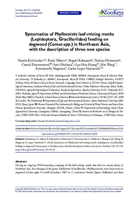 (PDF) Systematics of Phyllocnistis leaf-mining moths (Lepidoptera ...