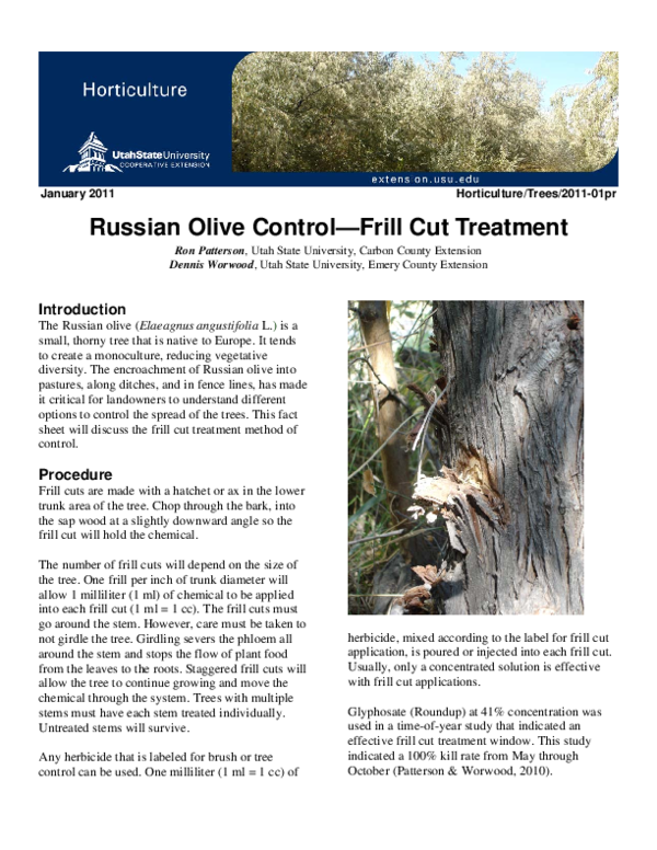 (PDF) Russian Olive Control - Frill Cut Treatment