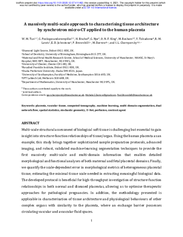 (PDF) A massively multi-scale approach to characterising tissue ...