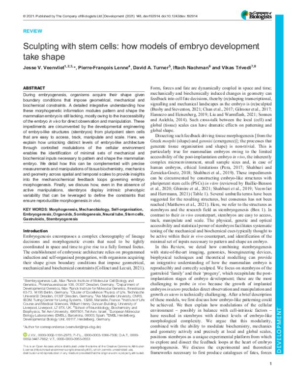 (PDF) Sculpting with stem cells: how models of embryo development take ...