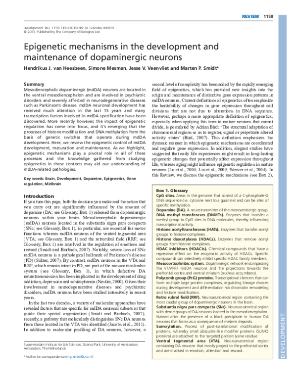 (PDF) Epigenetic mechanisms in the development and maintenance of ...