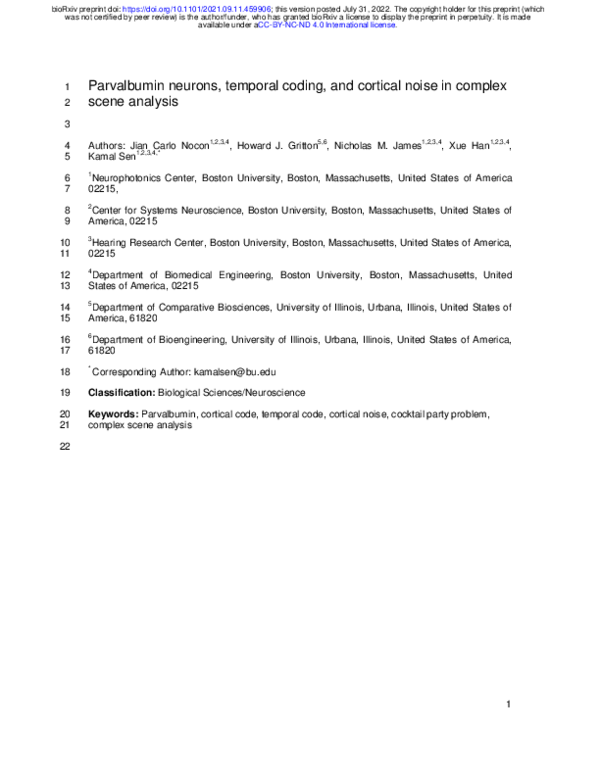 (PDF) Parvalbumin neurons, temporal coding, and cortical noise in complex scene analysis