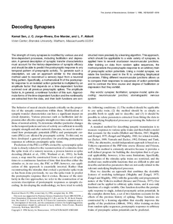 (PDF) Decoding Synapses