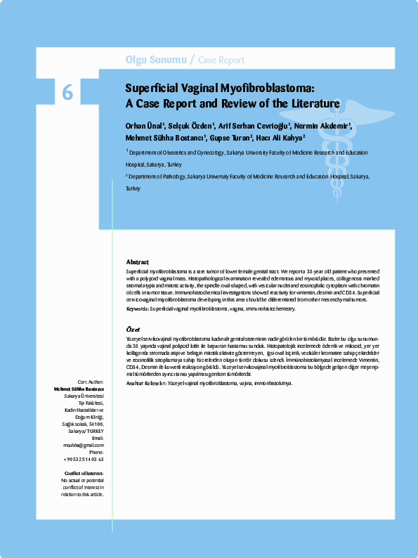 (PDF) Superfi cial Vaginal Myofi broblastoma: A Case Report and Review ...