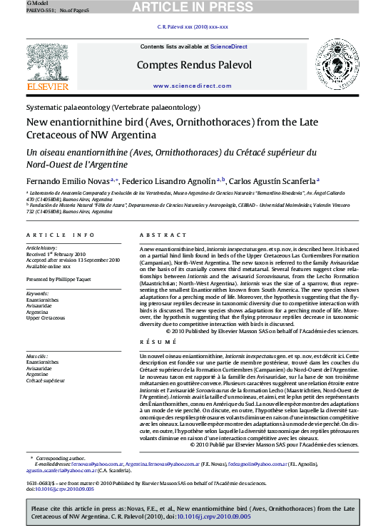 (PDF) New enantiornithine bird (Aves, Ornithothoraces) from the Late ...