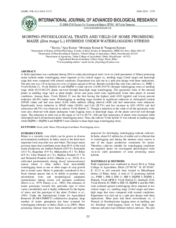(PDF) Morpho-physiological traits and yield of some promising maize (Zea mays L.) hybrids under ...