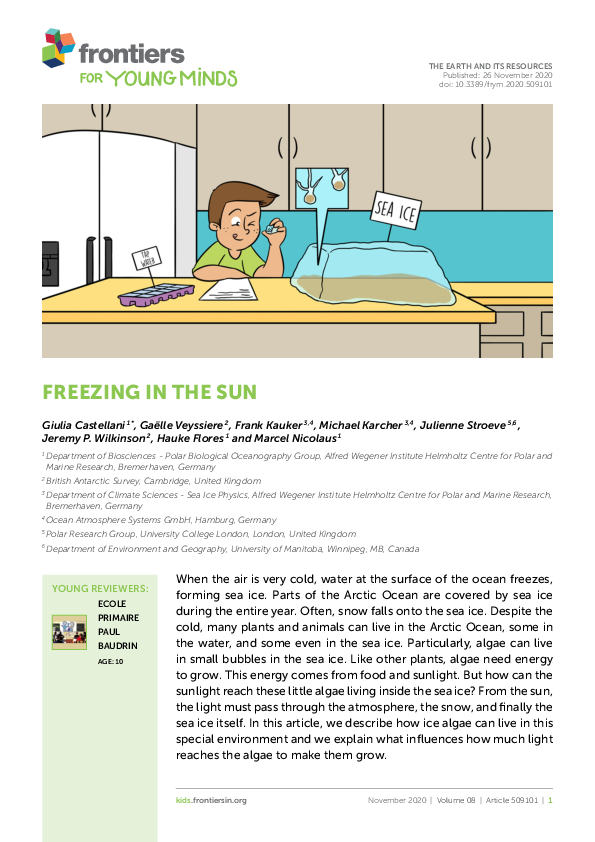 (PDF) Freezing in the Sun