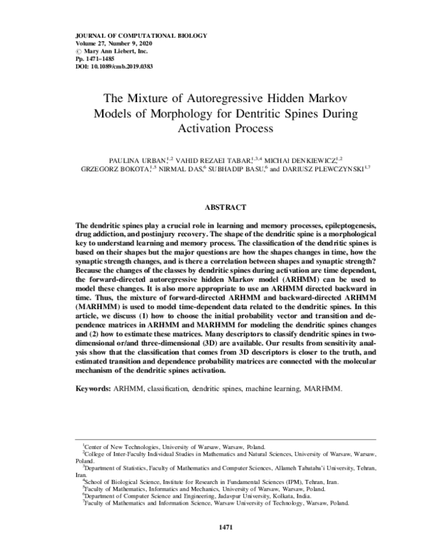 (PDF) The Mixture of Autoregressive Hidden Markov Models of Morphology for Dentritic Spines ...