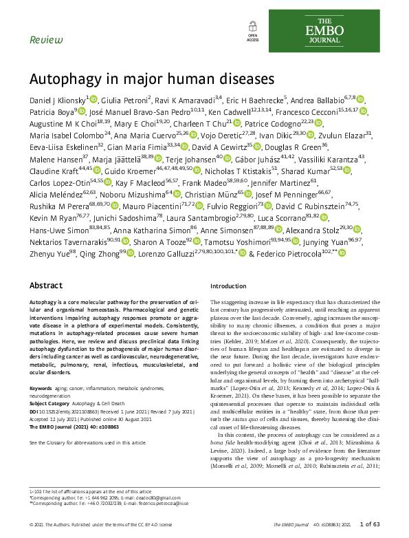 (PDF) Autophagy in major human diseases
