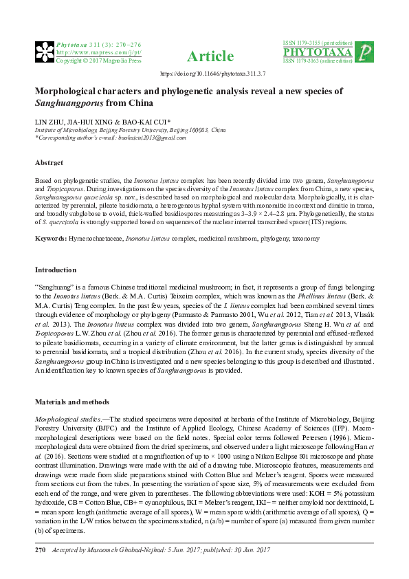 (PDF) Morphological characters and phylogenetic analysis reveal a new species within the ...