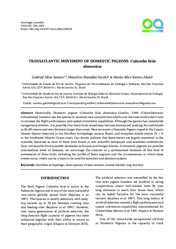 (PDF) transatlantic Movement of Domestic PIGEONS Columba livia domestica