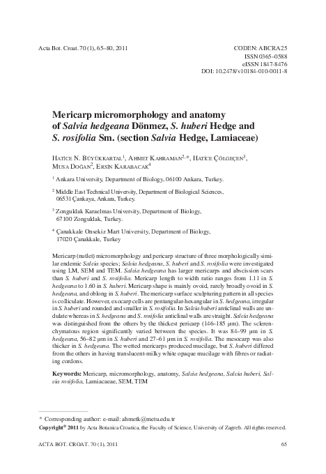 (PDF) Mericarp micromorphology and anatomy of Salvia hedgeana Dönmez, S ...
